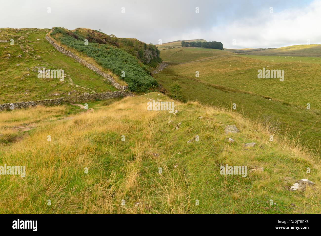 Hadrian's Wall trail near Steel Rigg in Northumberland Stock Photo - Alamy