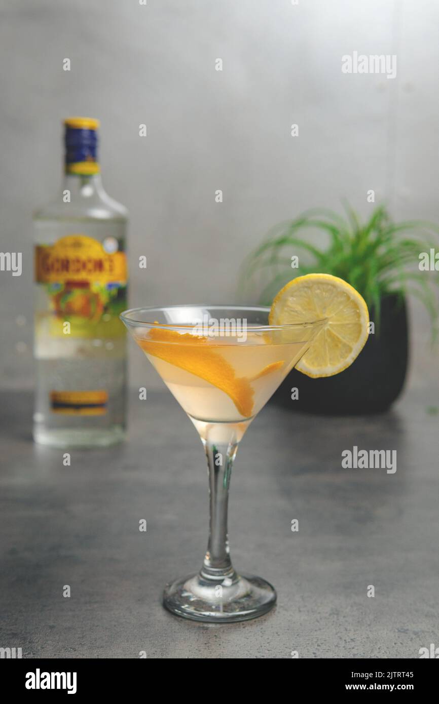 The Classic Summer Jin Tonic cocktail with Lemon and Orange A Ring Of ...