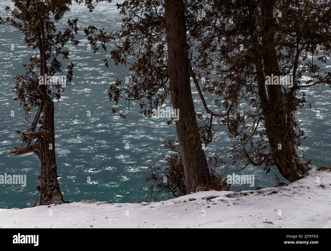 Icy waters of Lake Michigan lie below the cedar lines bluff at Cave ...