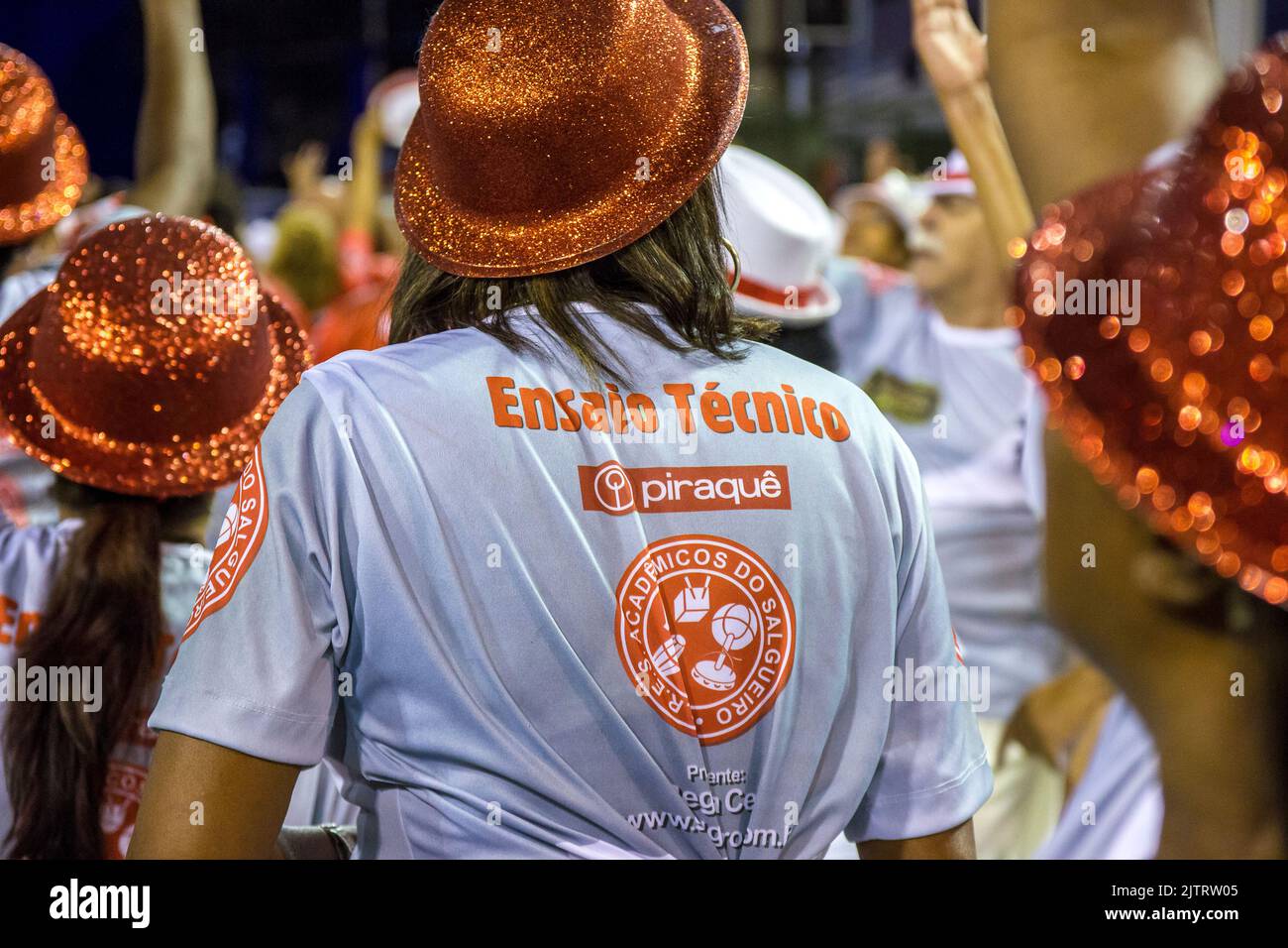 Salgueiro samba school in Rio de Janeiro, Brazil - January 24, 2016 ...