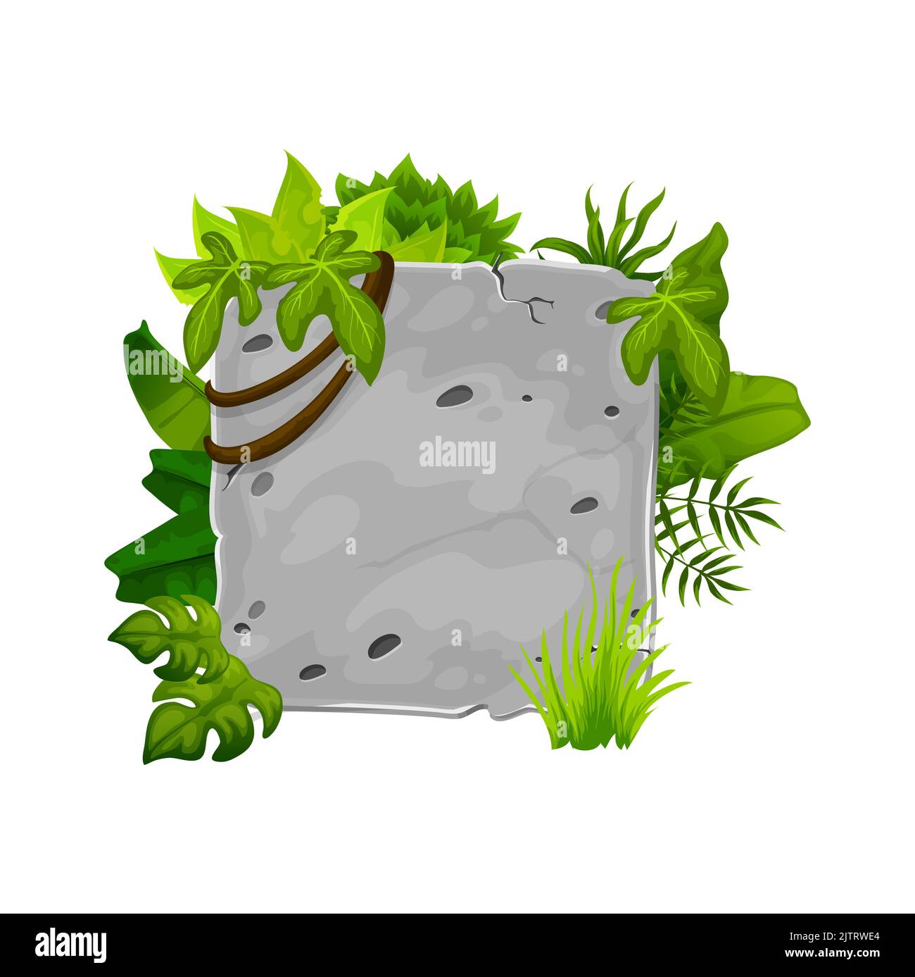 Rainforest creeper Stock Vector Images - Alamy