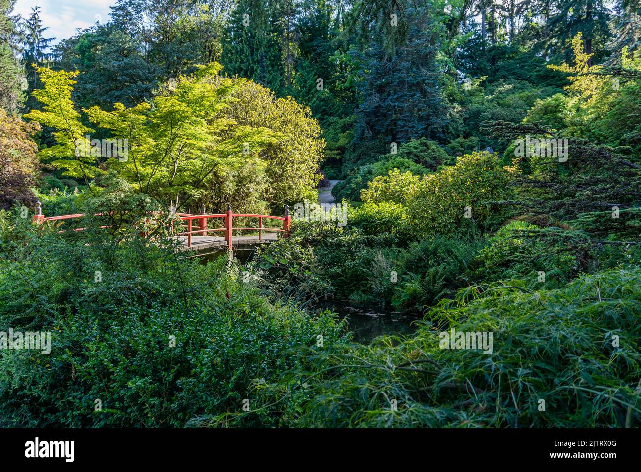 A red walking bridge and path in a garden in Seattle, Washington Stock ...