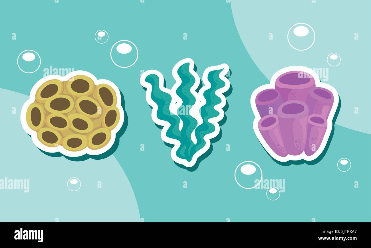 three coral reef icons Stock Vector Image & Art - Alamy