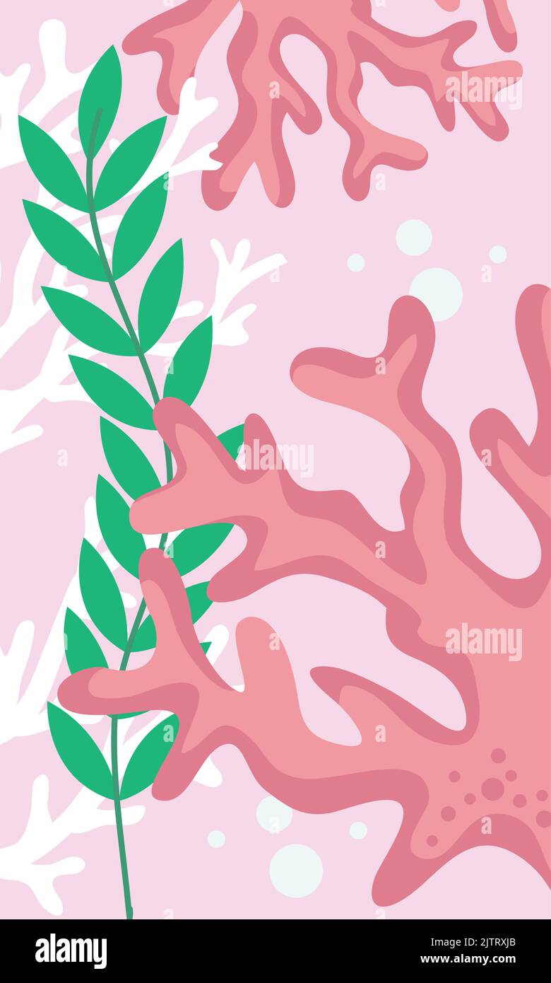 pink algae and seaweed Stock Vector Image & Art - Alamy