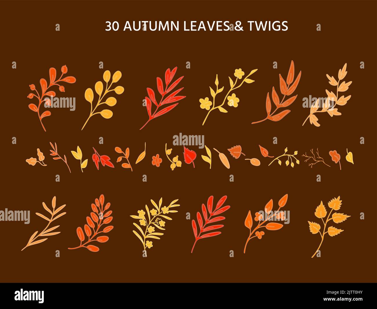Outlines of various leaves, twigs, herbs, plants in autumn shades of ...