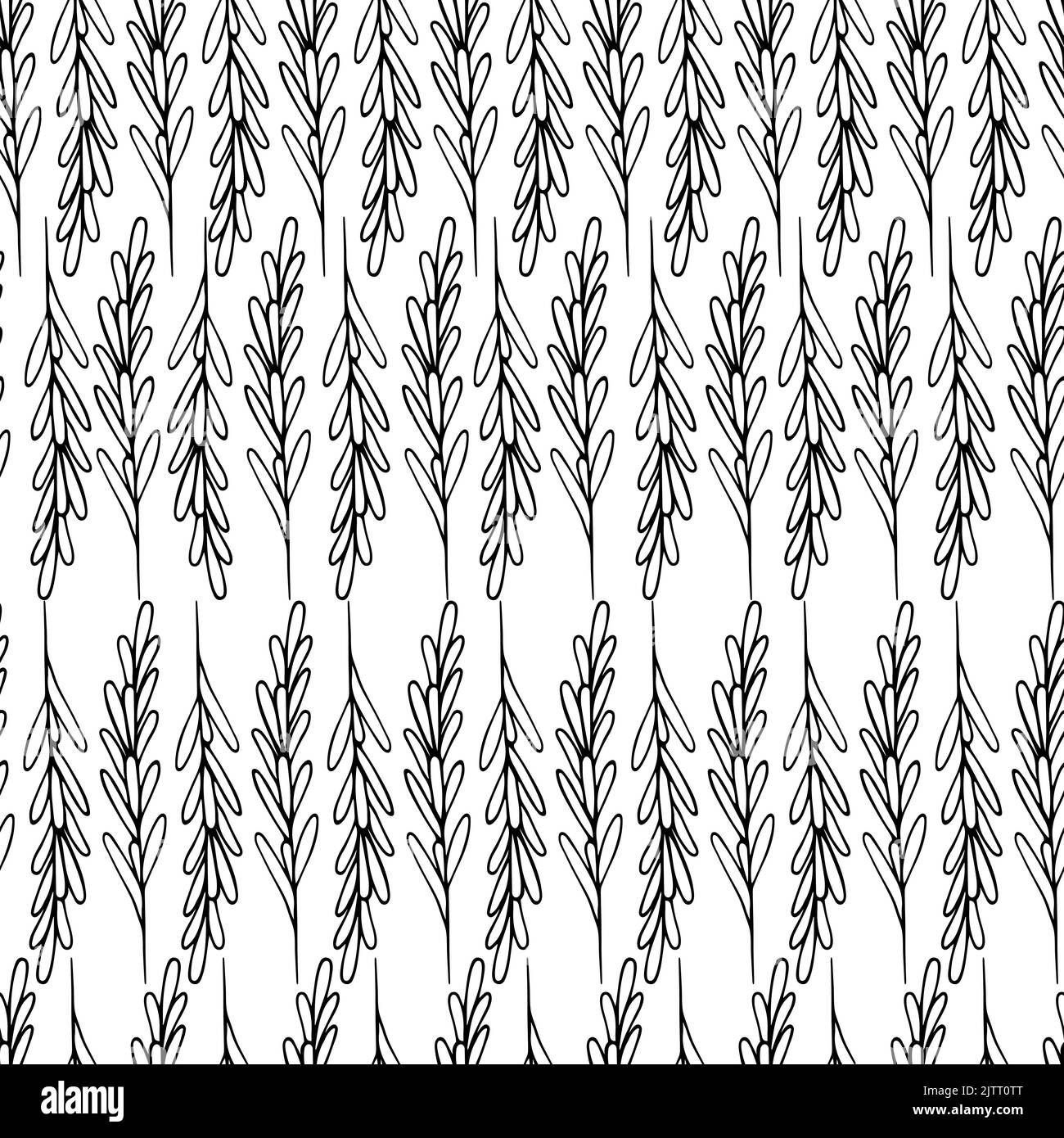 Rosemary. A sprig of aromatic spice. Repeating vector pattern. Seamless ...