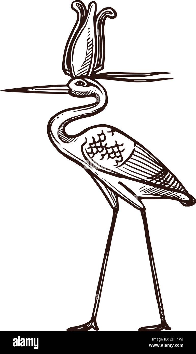 Bennu heron sketch, Ancient Egypt deity and mythology bird, vector icon ...