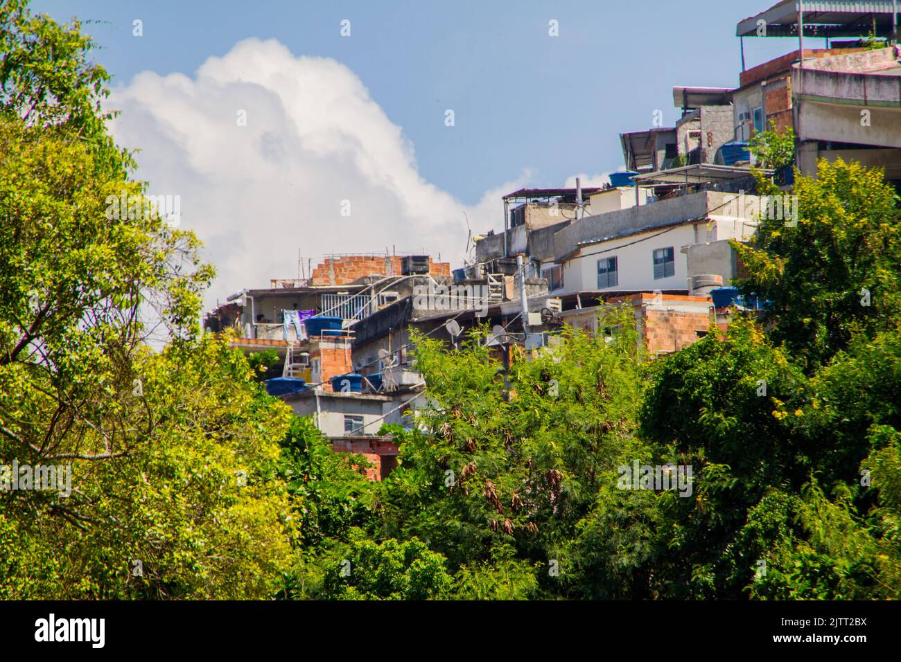 hill of mango as seen from the sao cristovao neighborhood in rio de ...