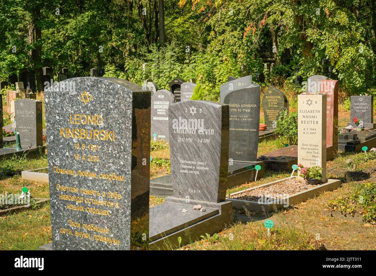 Neue Gräber, Grabsteine, Jüdischer Friedhof, Herbert-Baum-Straße ...