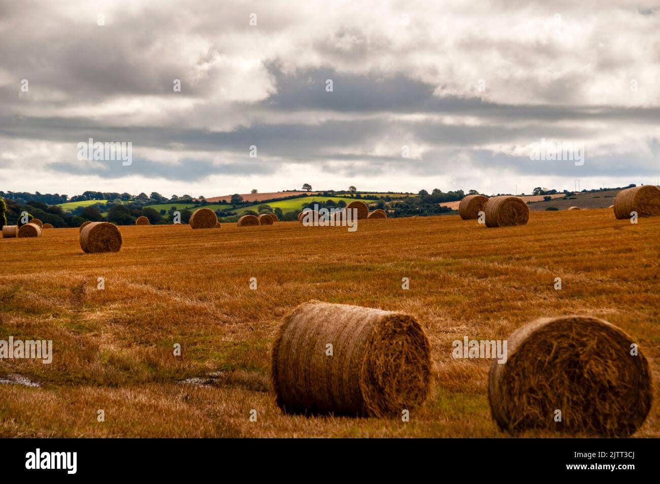 Irish farm rolling green hills hi-res stock photography and images - Alamy