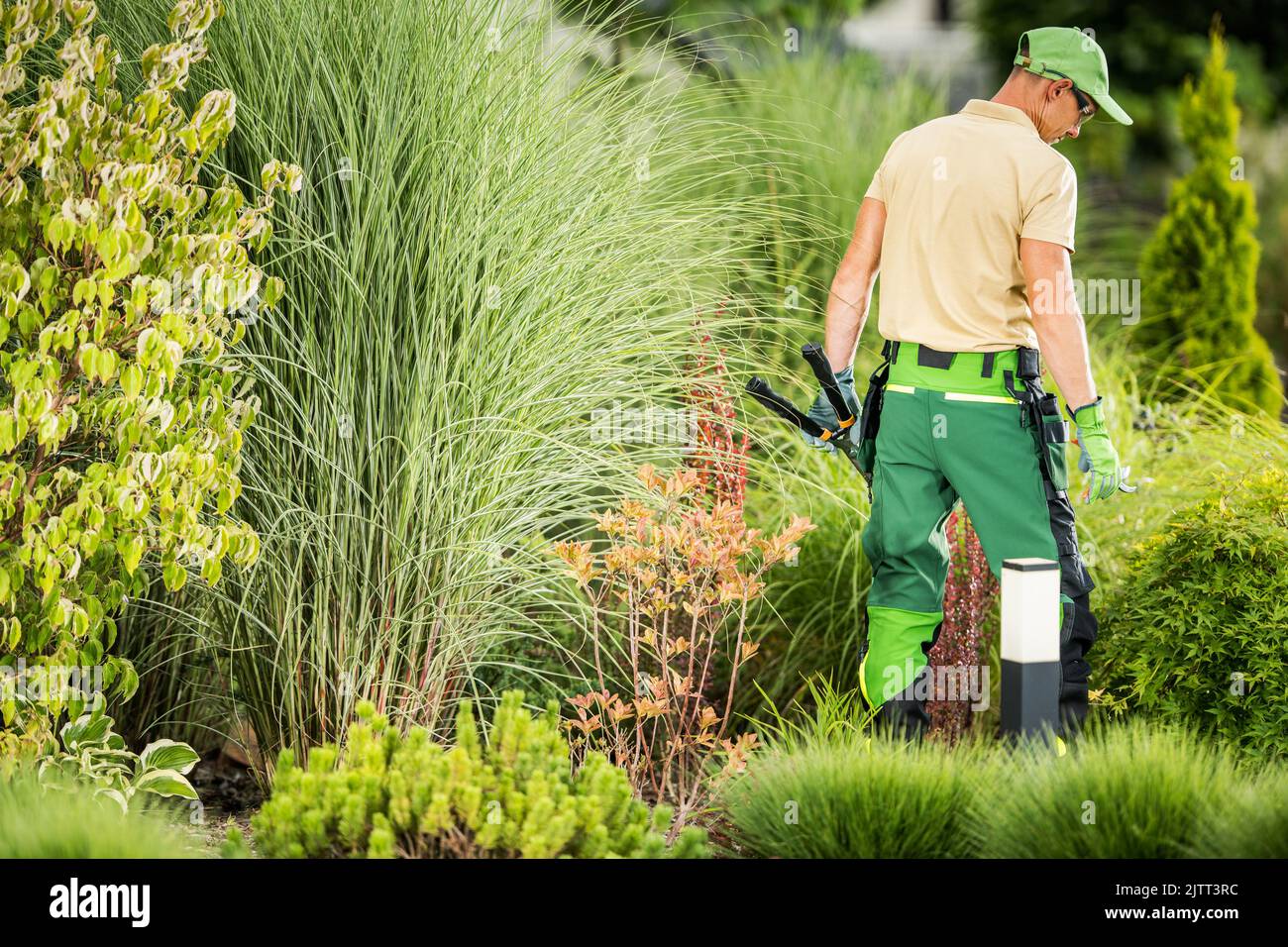 Caucasian Male Landscaper Standing Backwards in the Middle of the ... Caucasian Male Landscaper Standing Backwards in the Middle of the ...