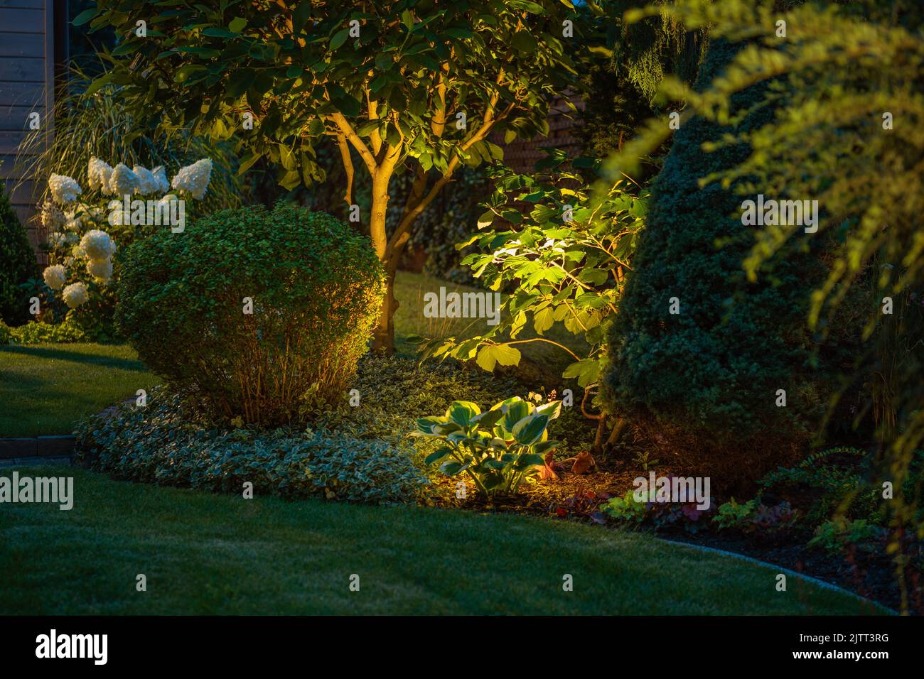 Landscaped Garden Evening Illumination Idea. Spot Lighting of Different ...
