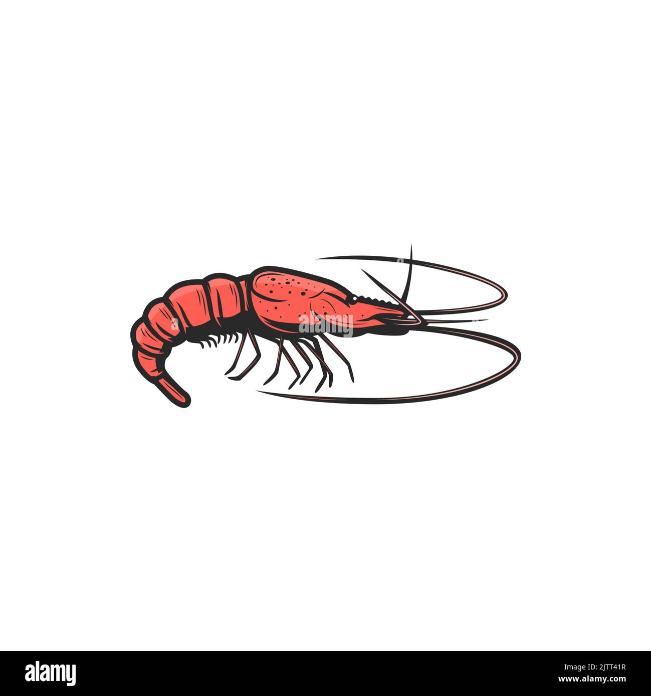 Prawn shellfish crustaceans isolated shrimp icon. Vector red shrimp ...