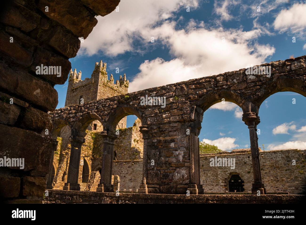 Cloister arcade at Jerpoint Abbey in Thomastown, Ireland Stock Photo ...