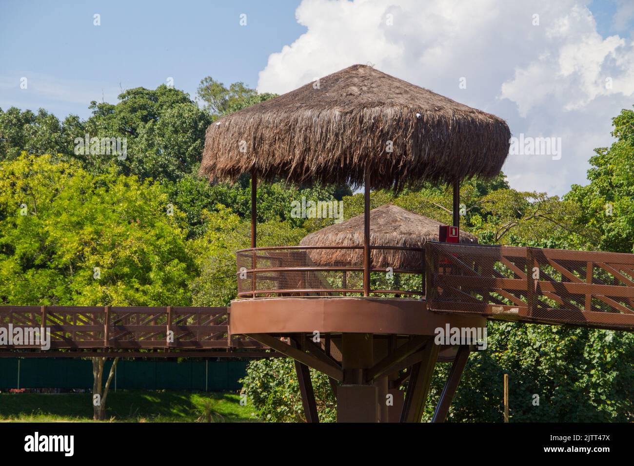 Animal observation hi-res stock photography and images - Alamy