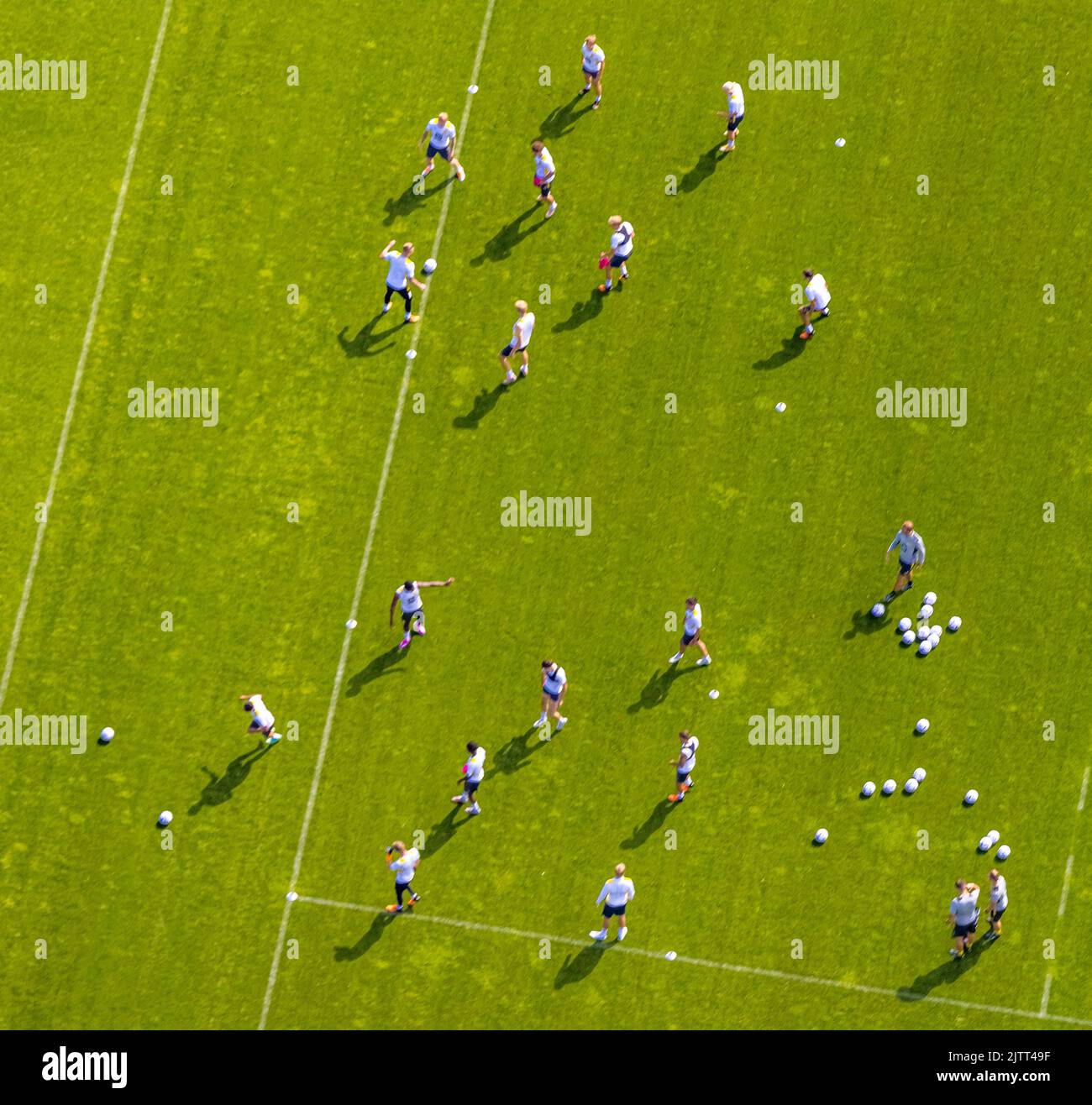 Aerial view, BVB training center, Adi-Preißler-Allee, soccer field and ...