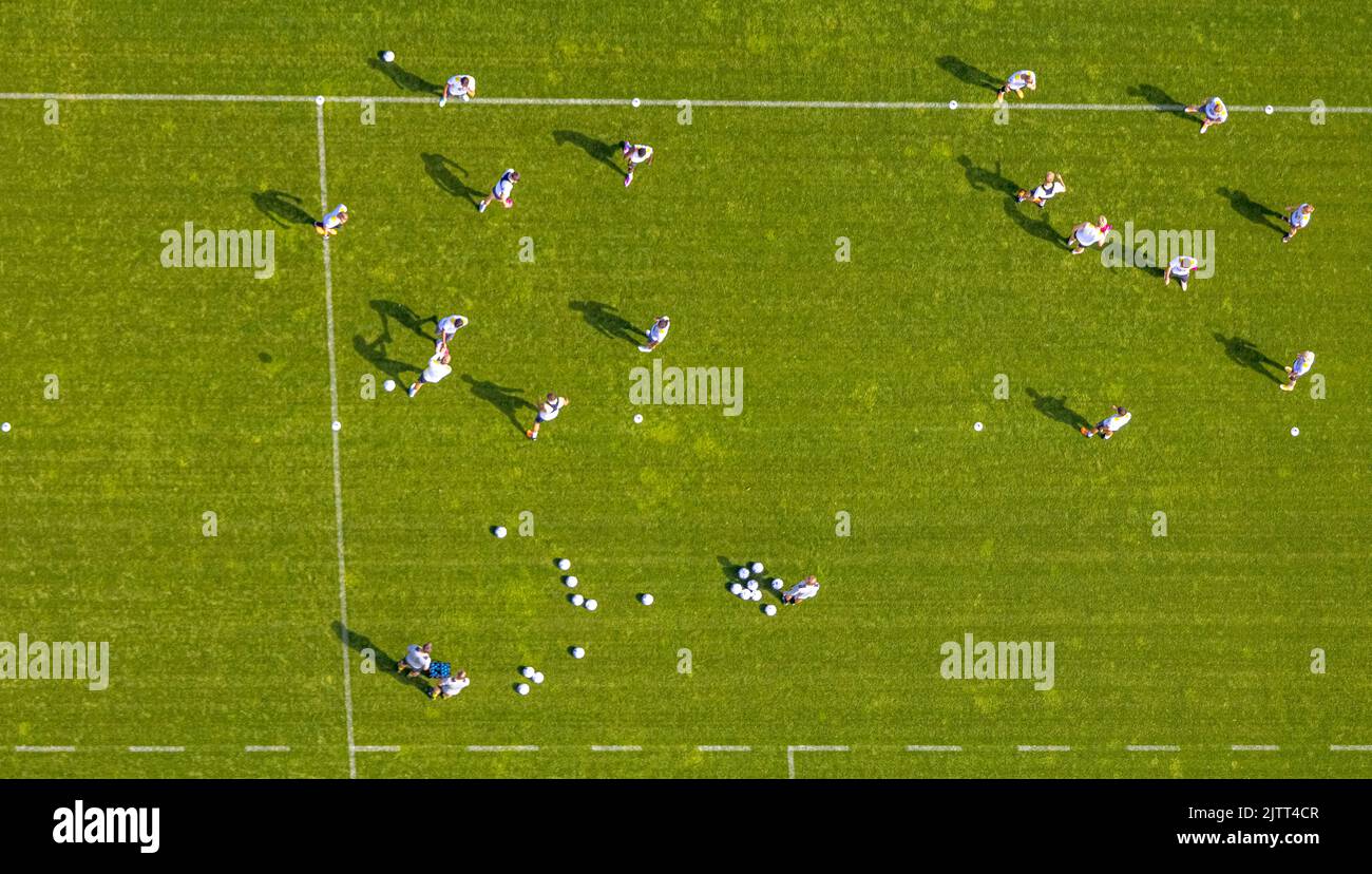 Aerial view, BVB training center, Adi-Preißler-Allee, soccer field and ...