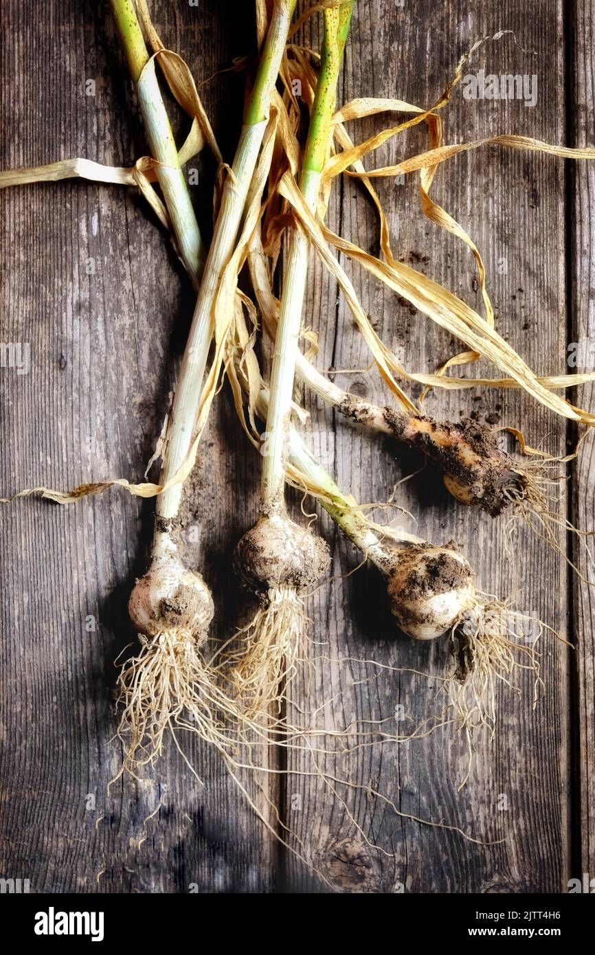 Looking down on food on wood hi-res stock photography and images - Alamy