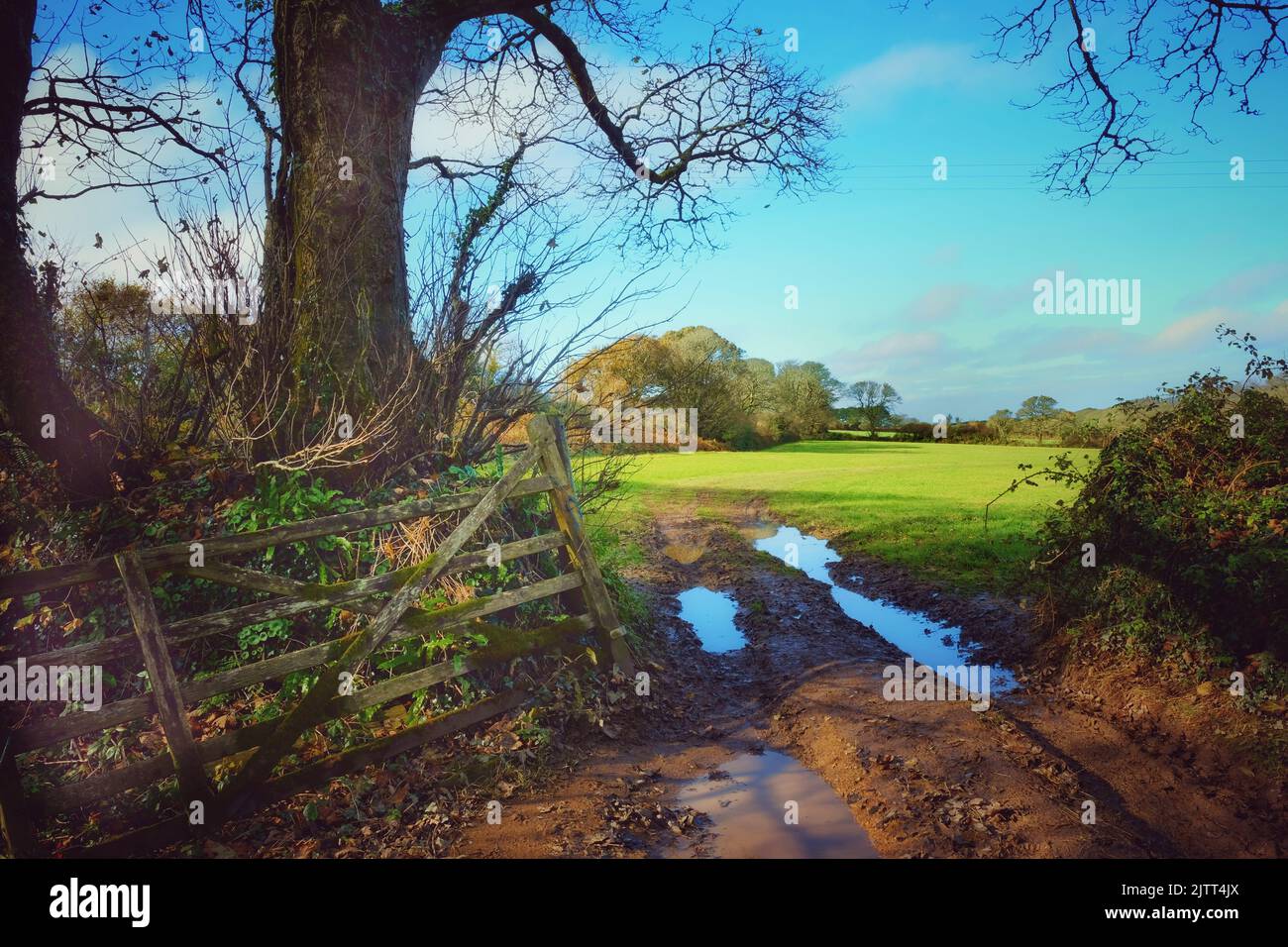 Entrance to field hi-res stock photography and images - Alamy