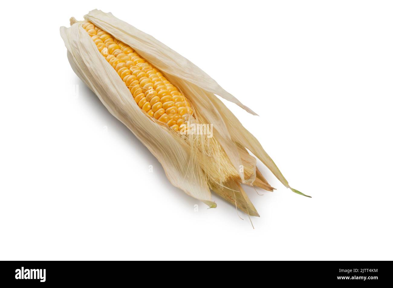 Angled stem Cut Out Stock Images & Pictures - Alamy