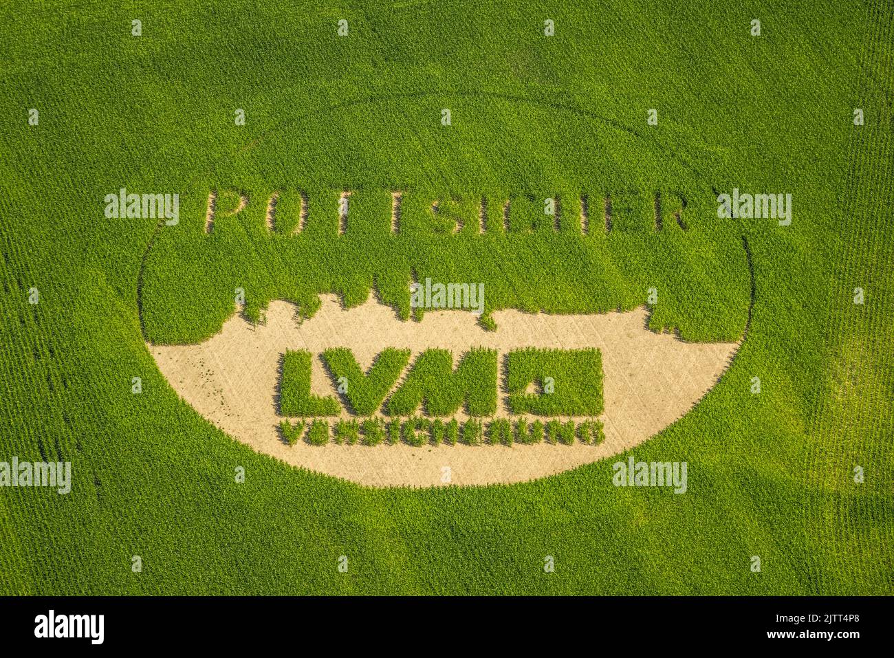 Lvm logo hi-res stock photography and images - Alamy