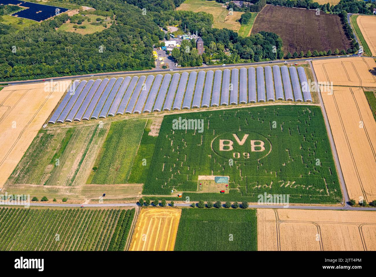 Bvb logo in field hi-res stock photography and images - Alamy