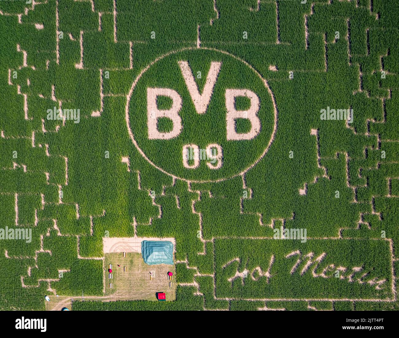 Corn maze with emblem of the bundesliga club hi-res stock photography ...