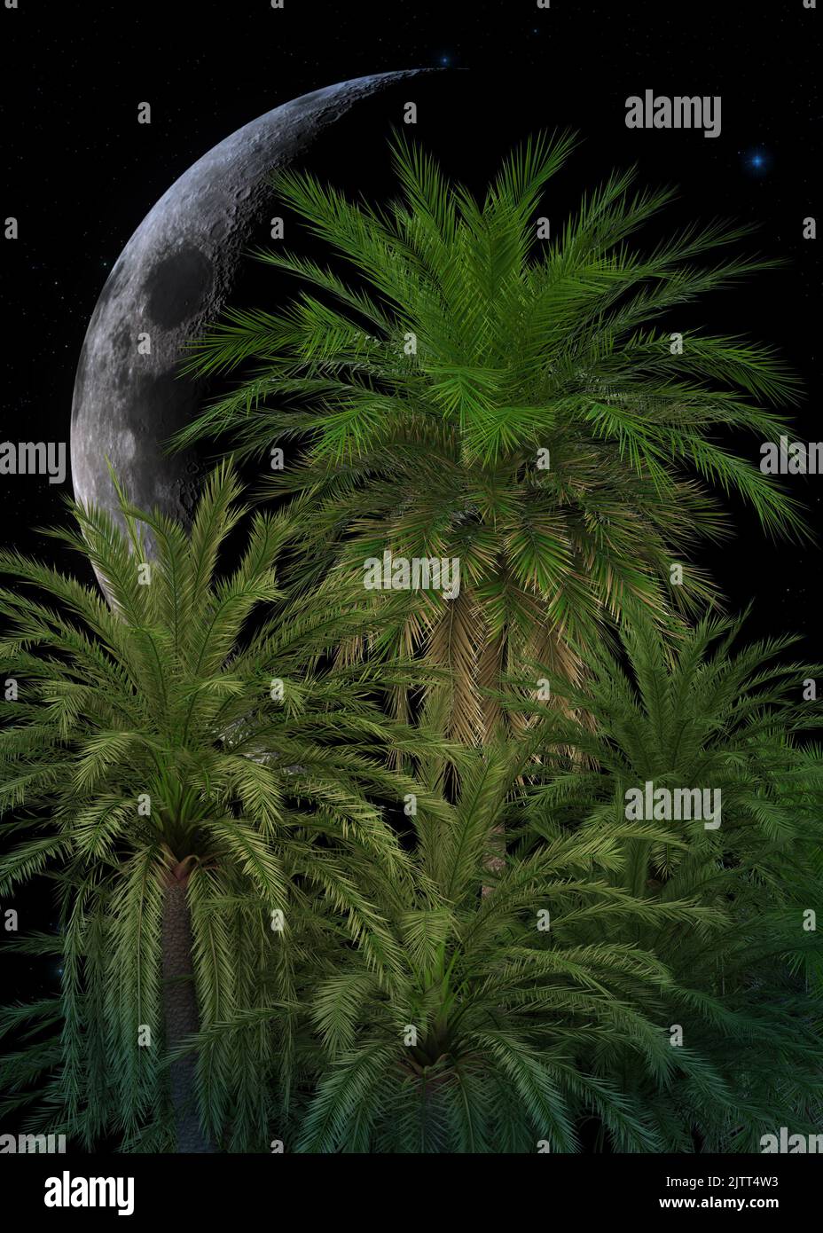Fantasy palm trees and crescent moon, elements for this image furnished ...