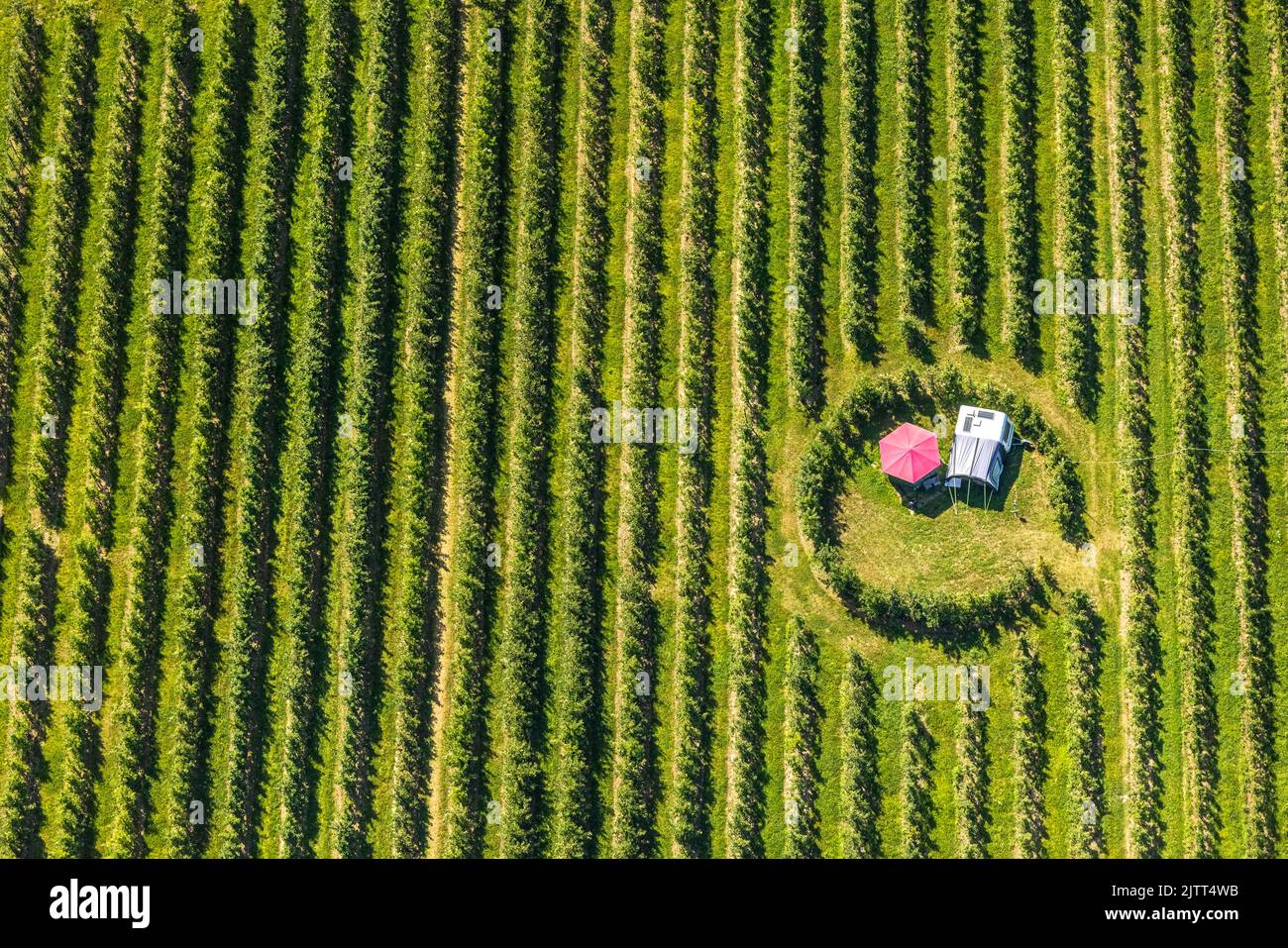 Mertin farm in hostedde hi-res stock photography and images - Alamy