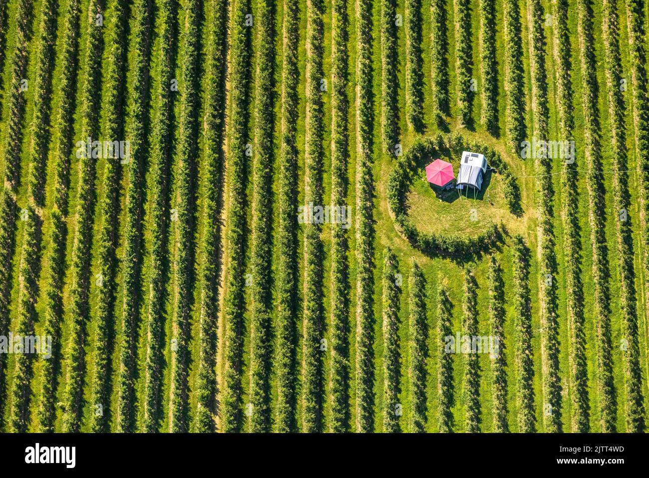 Mertin farm hi-res stock photography and images - Alamy