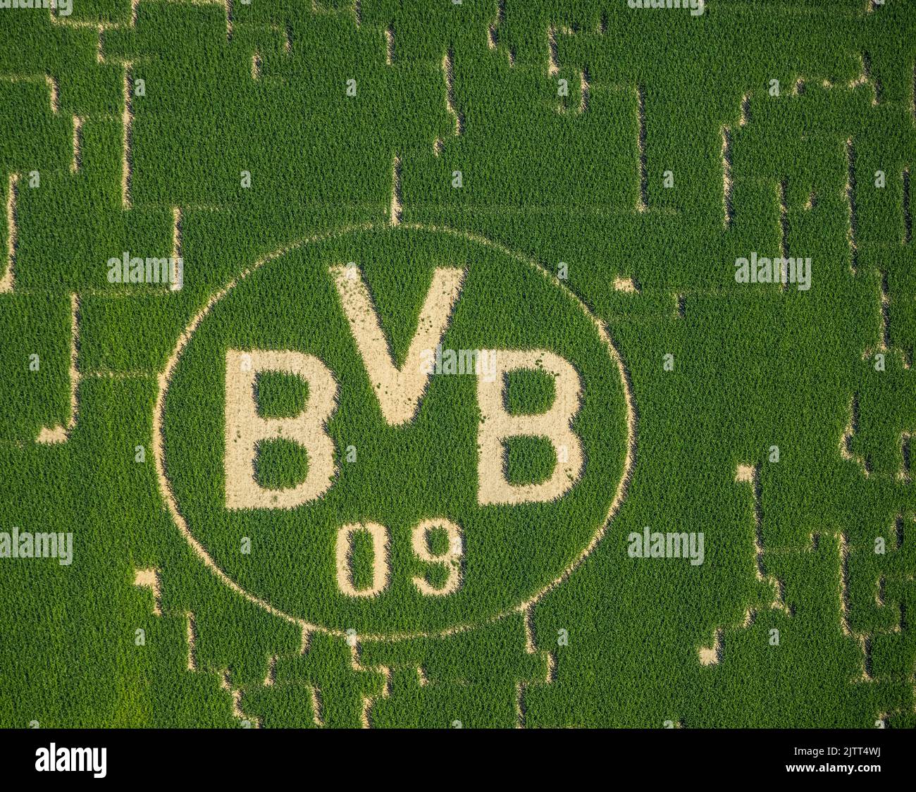 Corn maze with emblem of the bundesliga club hi-res stock photography ...