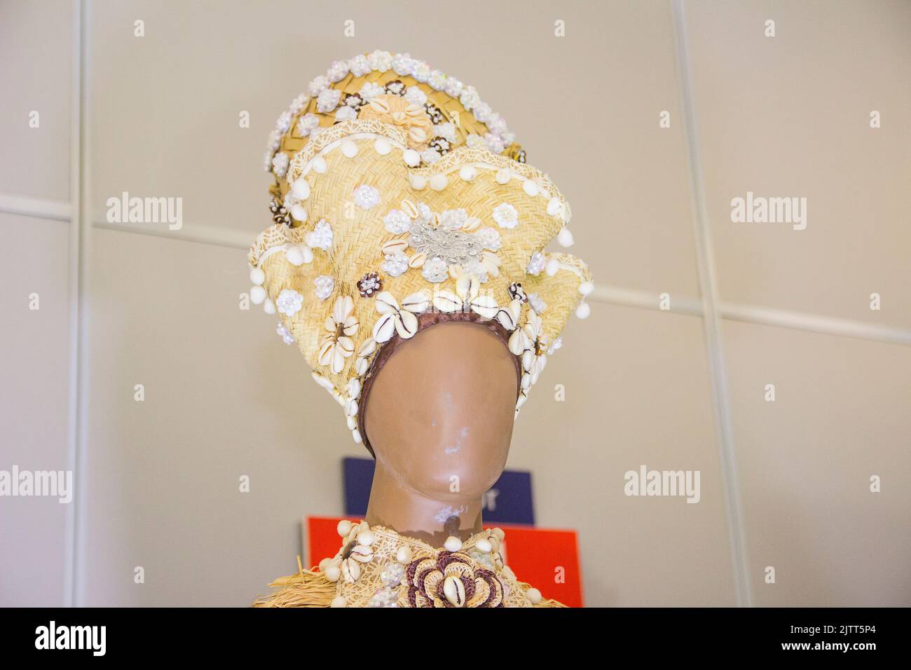Carnival costume in Rio de Janeiro Brazil Stock Photo - Alamy