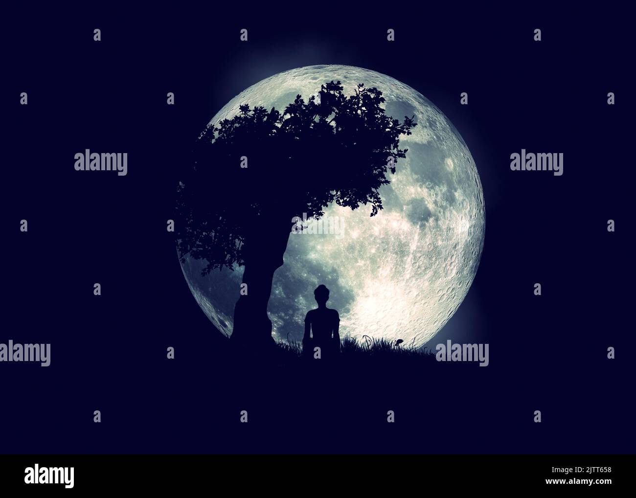 Lone tree with grass and sitting girl silhouette at night time ...