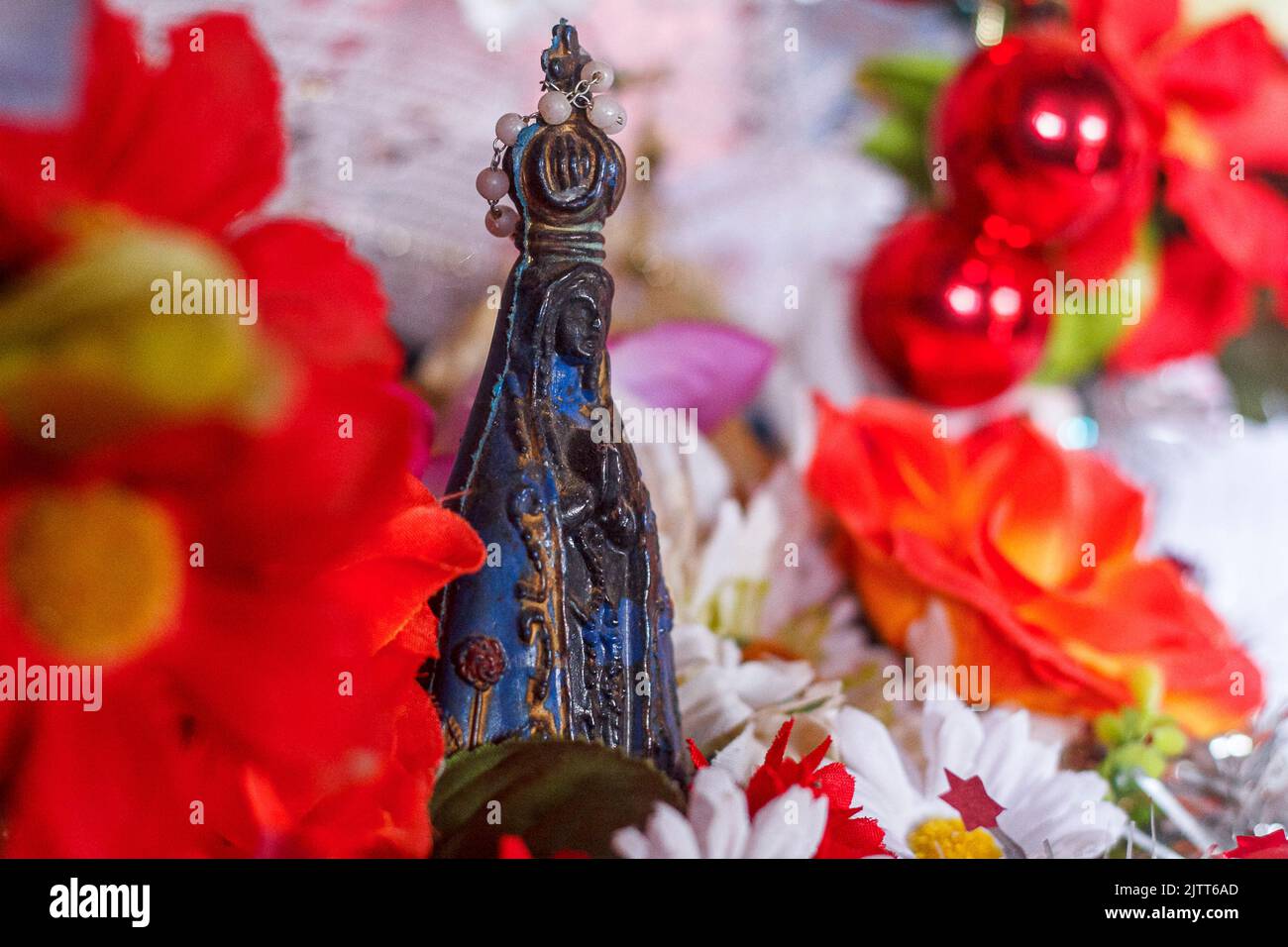 image of our lady appeared with an ornament of red roses in rio de ...