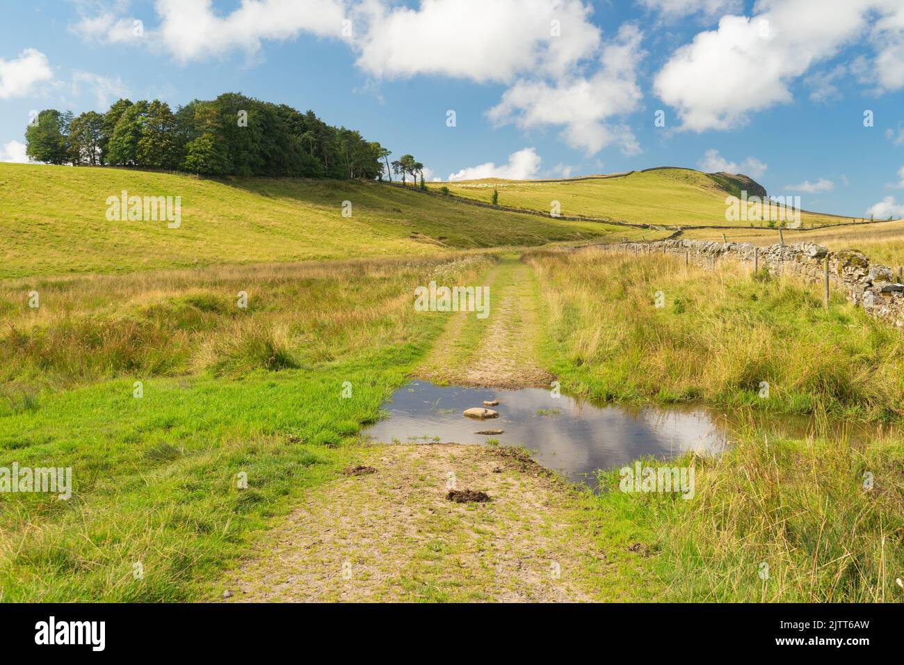 Hadrian's Wall trail near Steel Rigg in Northumberland Stock Photo - Alamy