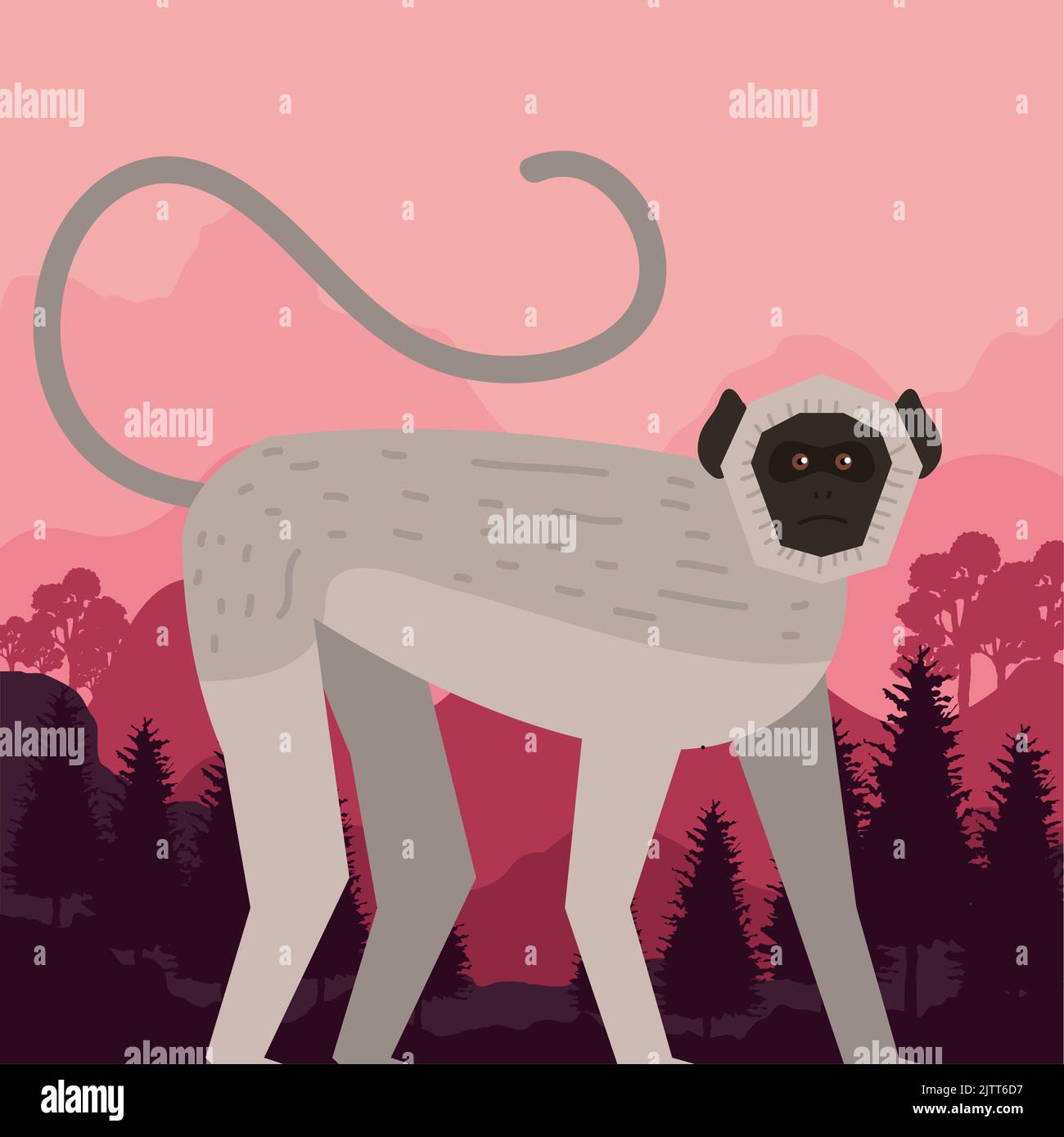 Jungle spider monkey Stock Vector Images - Alamy