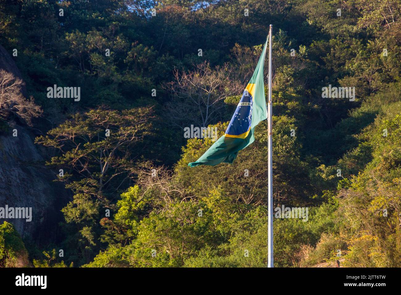 Flag of Brazil outdoors trees in the background in Rio de Janeiro ...