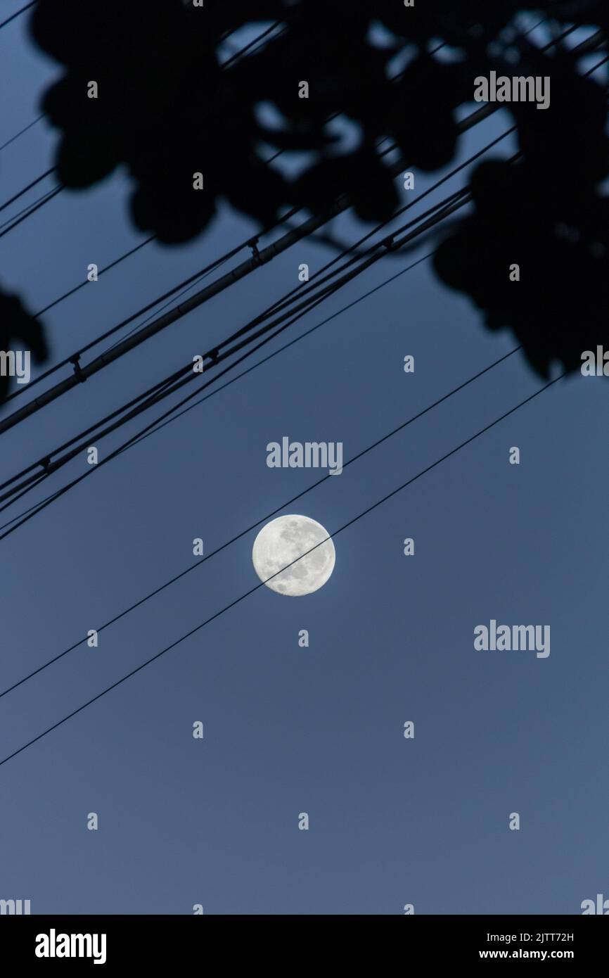 silhouette of cables and leaves with a beautiful full moon in Rio de ...