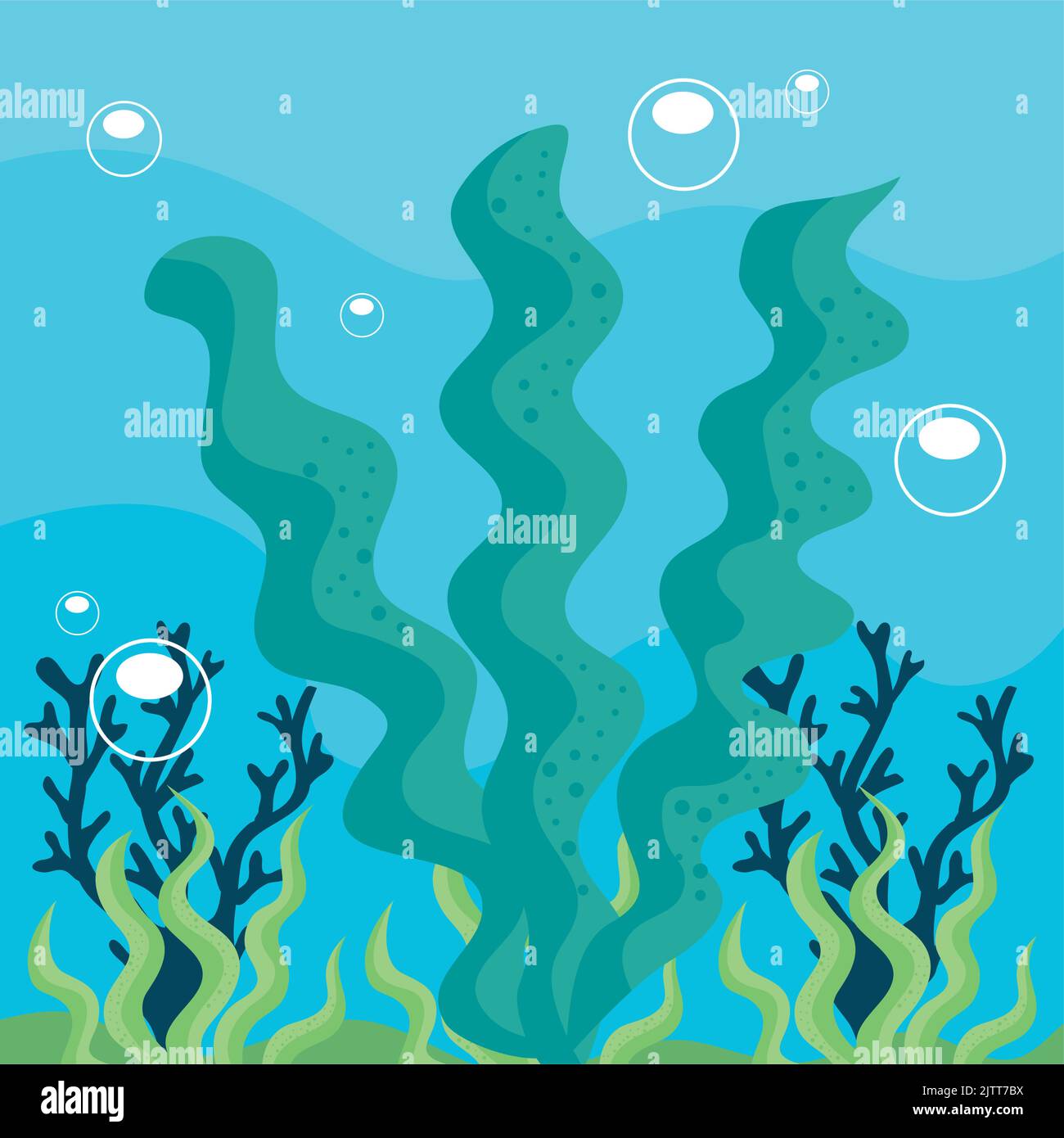 green algaes coral reef Stock Vector Image & Art - Alamy