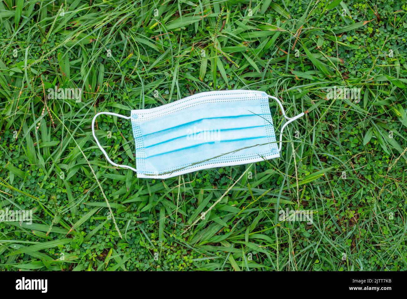 Protective grass hi-res stock photography and images - Alamy