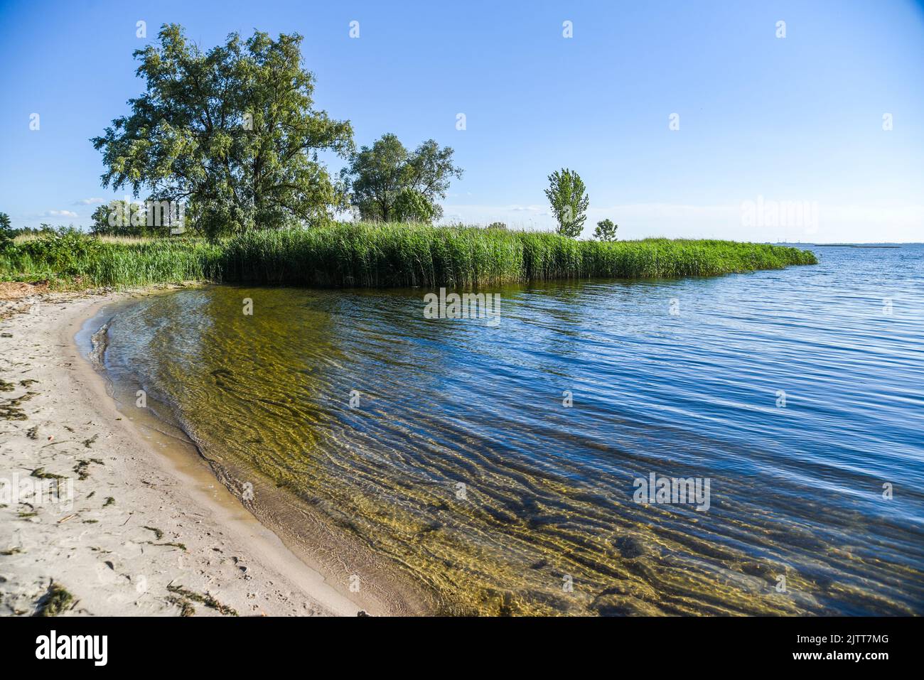 Czarna laka hi-res stock photography and images - Alamy