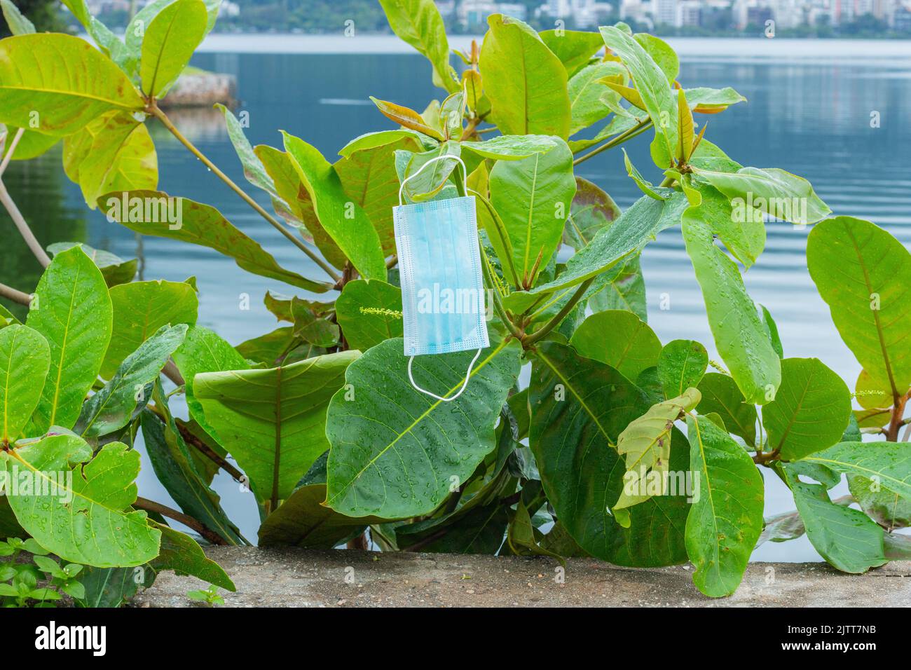 blue disposable protection mask, used for protection against cornavirus ...