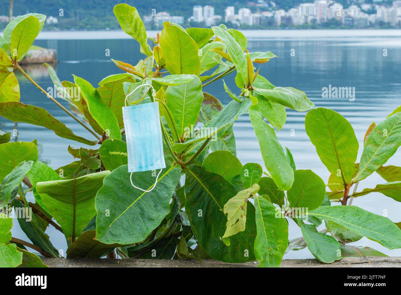 blue disposable protection mask, used for protection against cornavirus ...