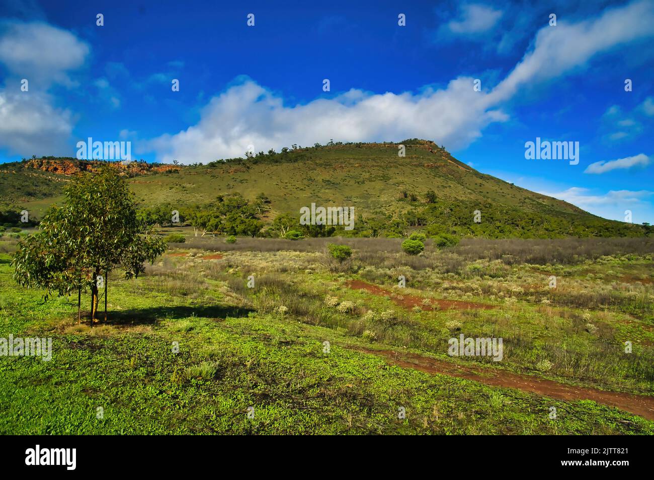 Landscape at Dutchmans Stern Conservation Park near Quorn, Flinders ...