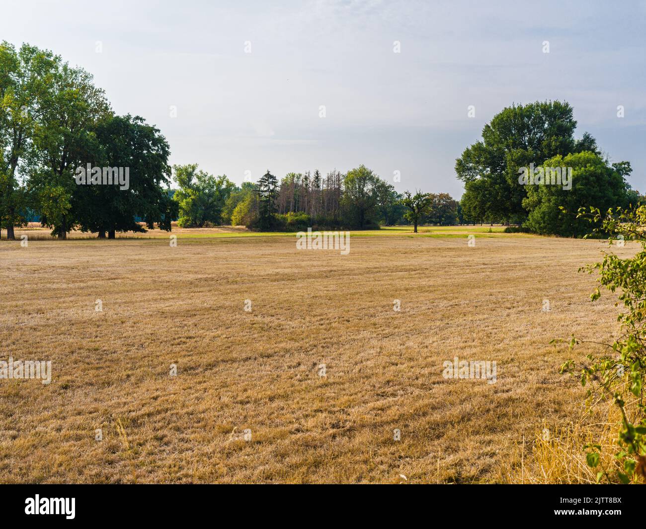 Parched landscape drought hi-res stock photography and images - Alamy