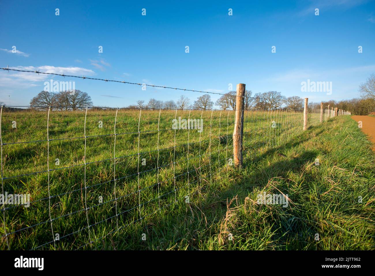 A barbed wire fence with wooden fenceposts separates a farmers field ...