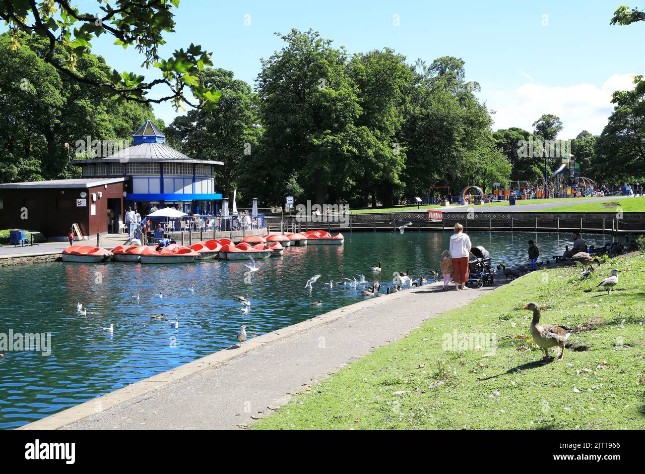 The boating lake in Lister Park, Bradford's largest park and in the ...
