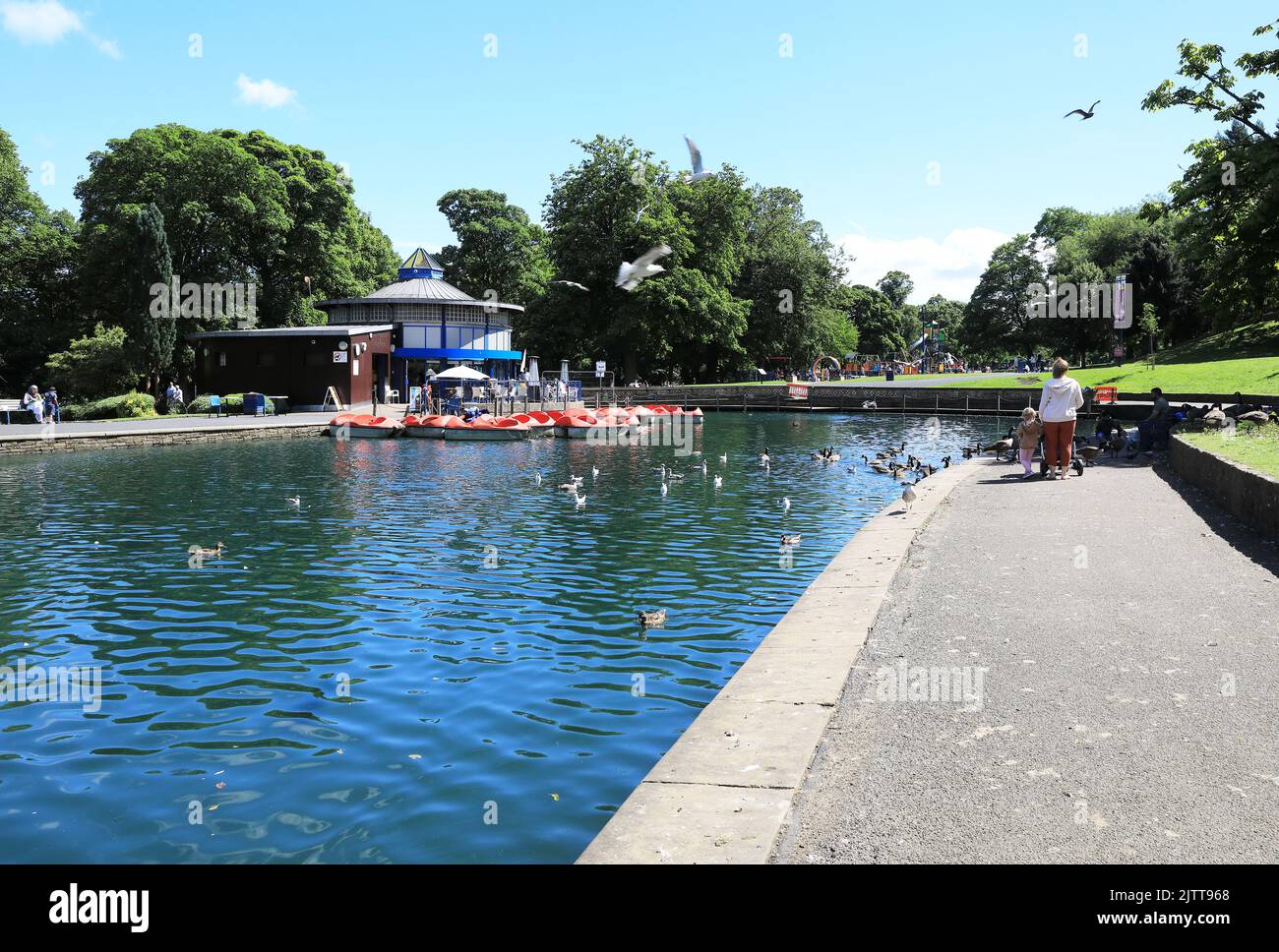 The boating lake in Lister Park, Bradford's largest park and in the ...