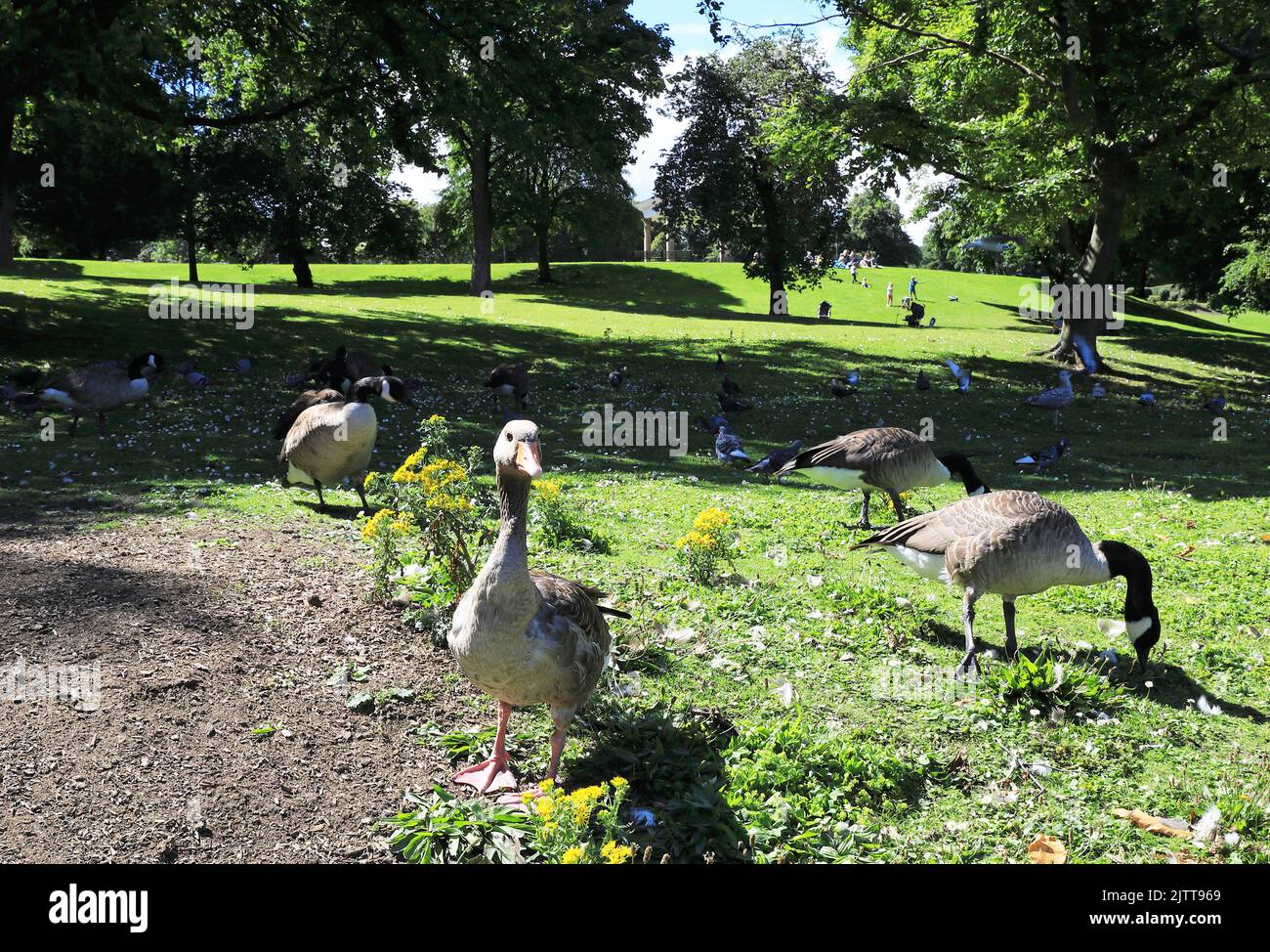 Lister Park, Bradford's largest park and in the Manningham area of the ...