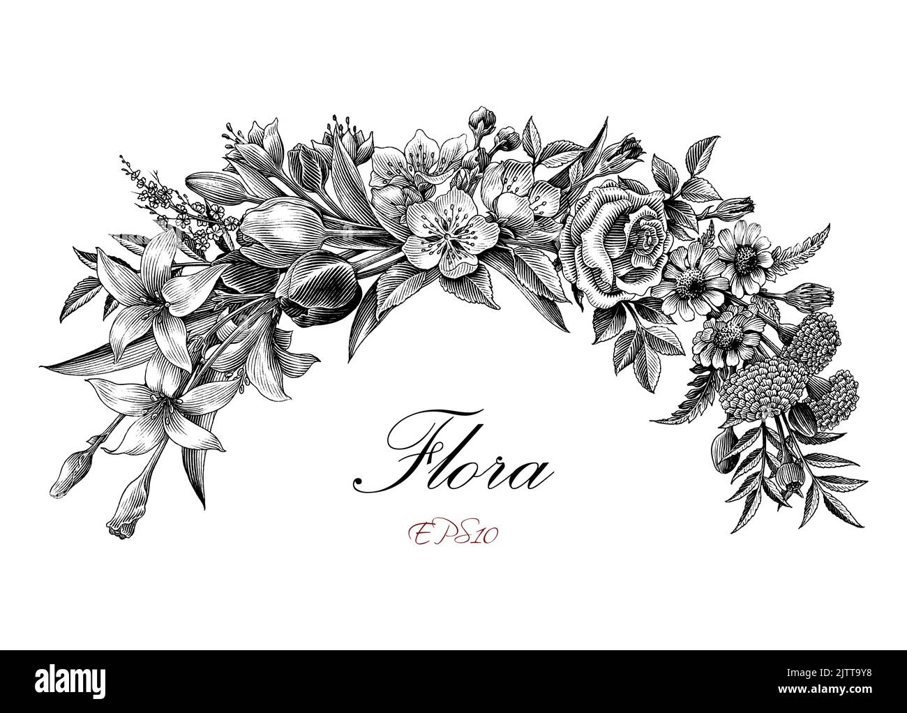 Peacock engraving Stock Vector Images - Alamy